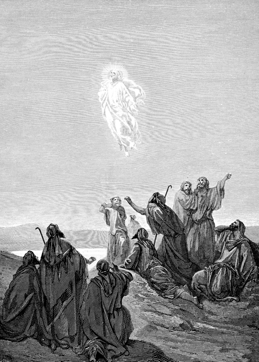 'The Ascension' Poster, picture, metal print, paint by ViktorDesigns ...