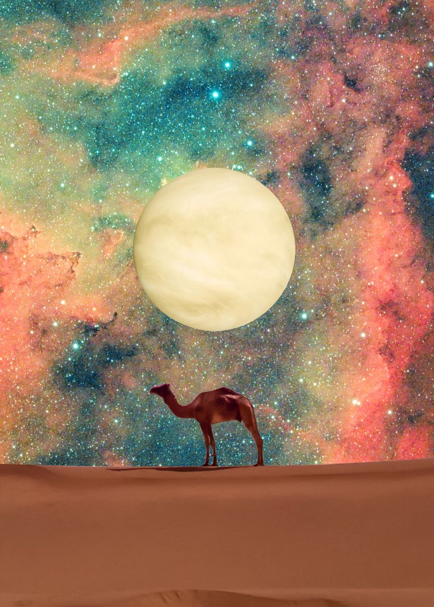 'Camel is cosmic Desert ' Poster, picture, metal print, paint by ...