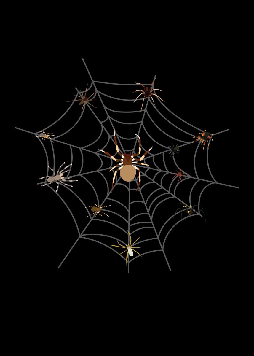 'Spider Web Spider' Poster by Mooon | Displate
