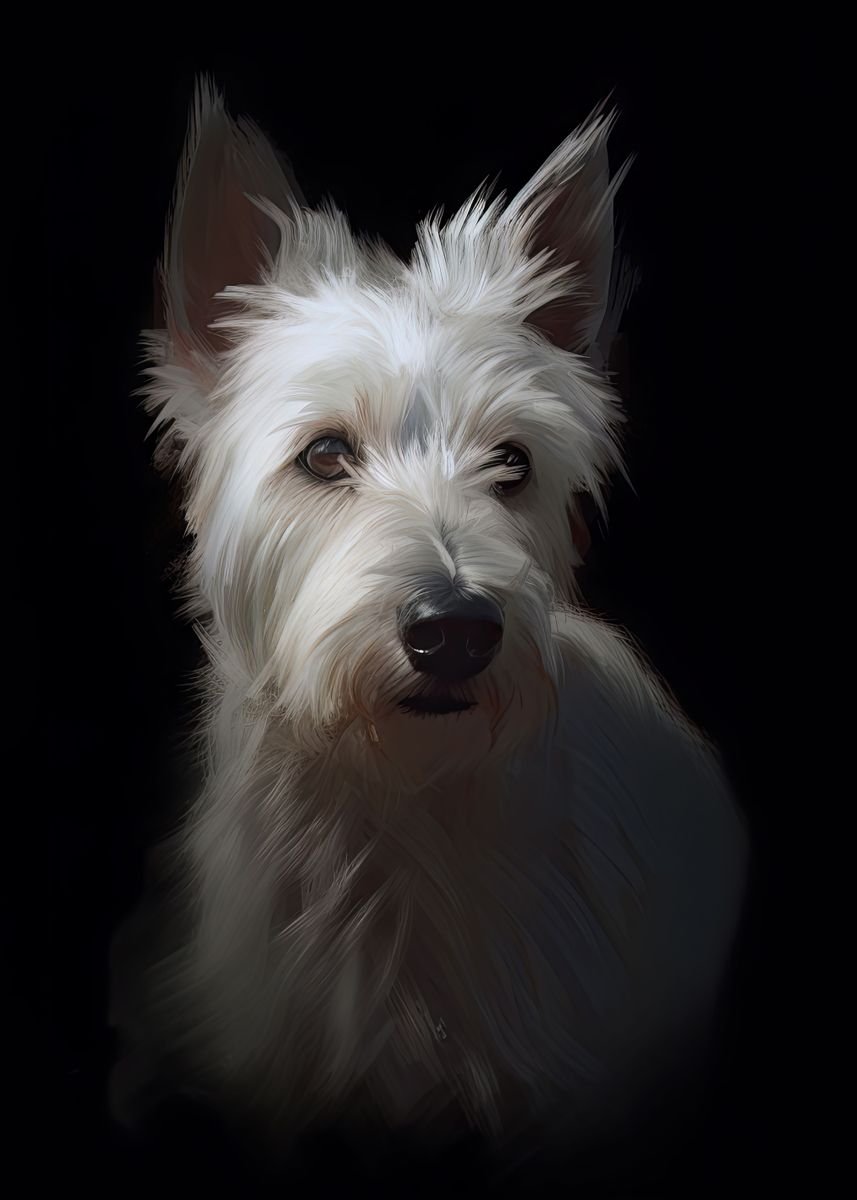 'Westie 5' Poster, picture, metal print, paint by Michael Strevens | Displate