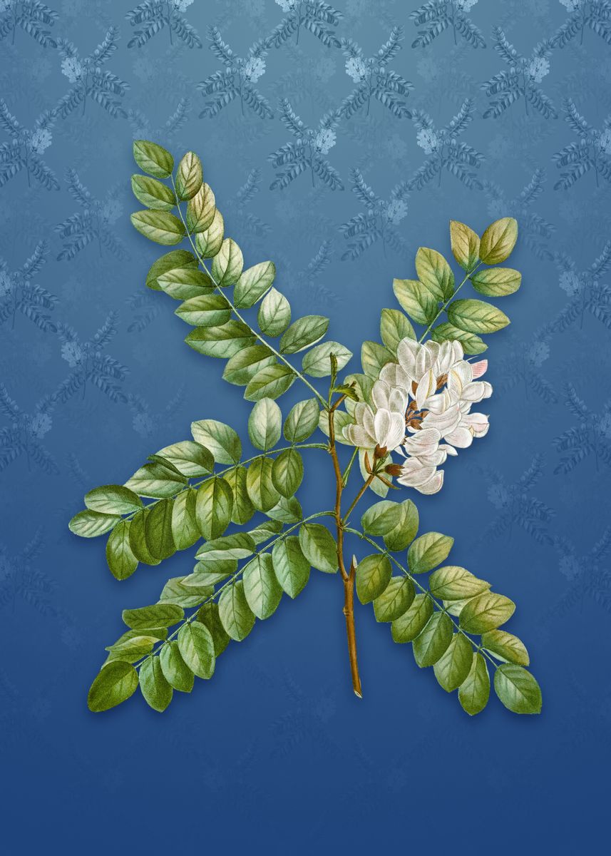 'Vintage Clammy Locust' Poster, picture, metal print, paint by Holy ...