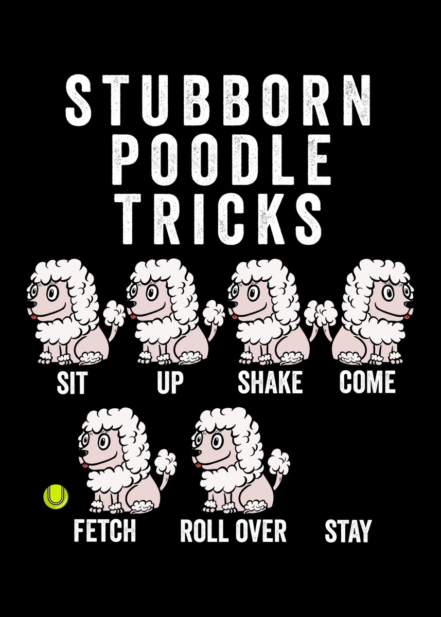 'Stubborn Poodle Tricks ' Poster, picture, metal print, paint by PetPrints | Displate