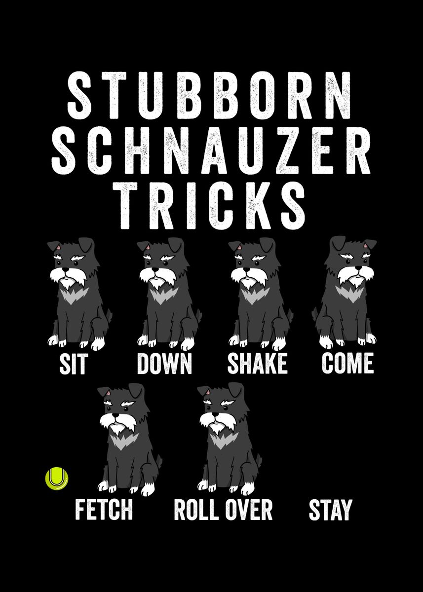 'Stubborn Schnauzer Tricks ' Poster, picture, metal print, paint by PetPrints | Displate