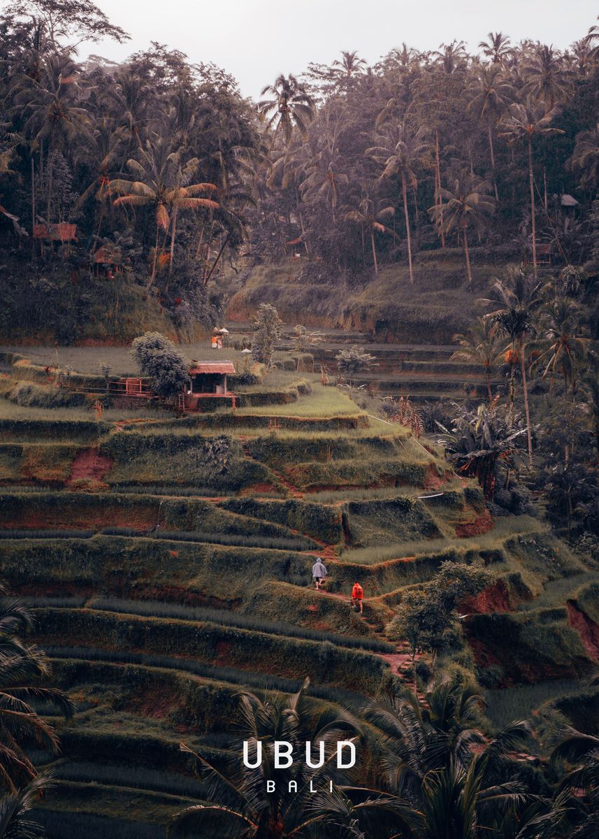 'Ubud ' Poster, picture, metal print, paint by Famous City | Displate