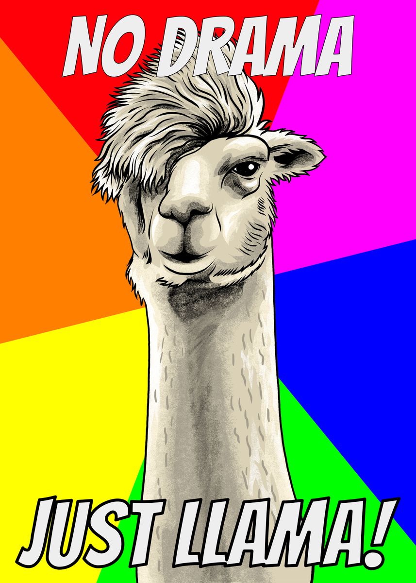 'No Drama Llama Meme' Poster by Adam Project | Displate