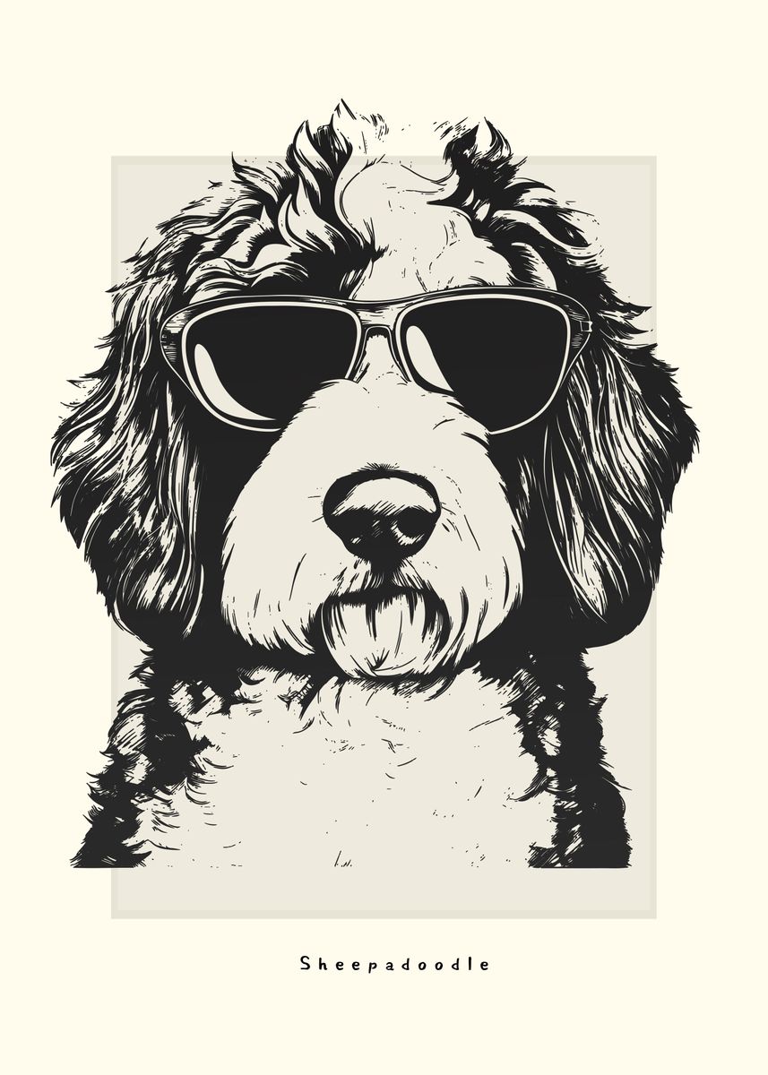 'Sheepadoodle Sketch' Poster, picture, metal print, paint by Rafael ...