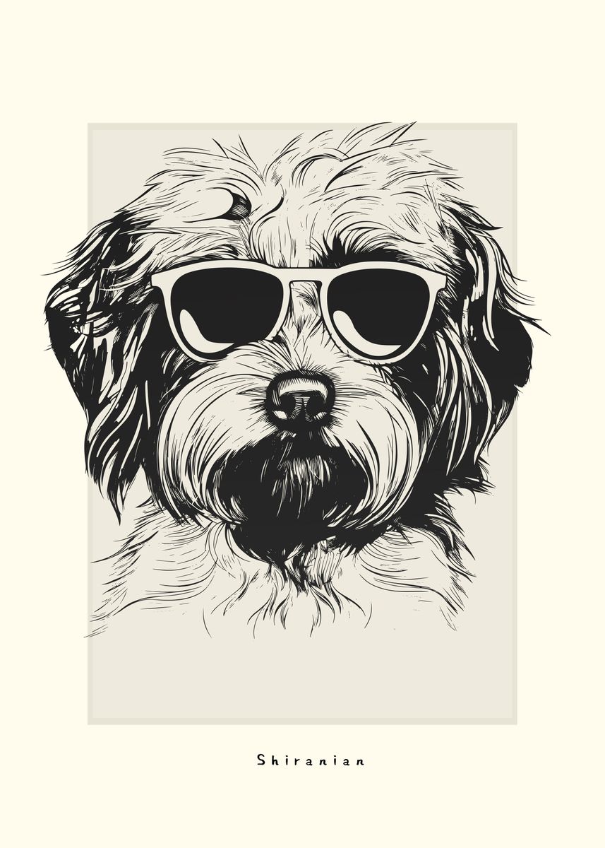 'Shiranian Illustration' Poster, picture, metal print, paint by Rafael ...