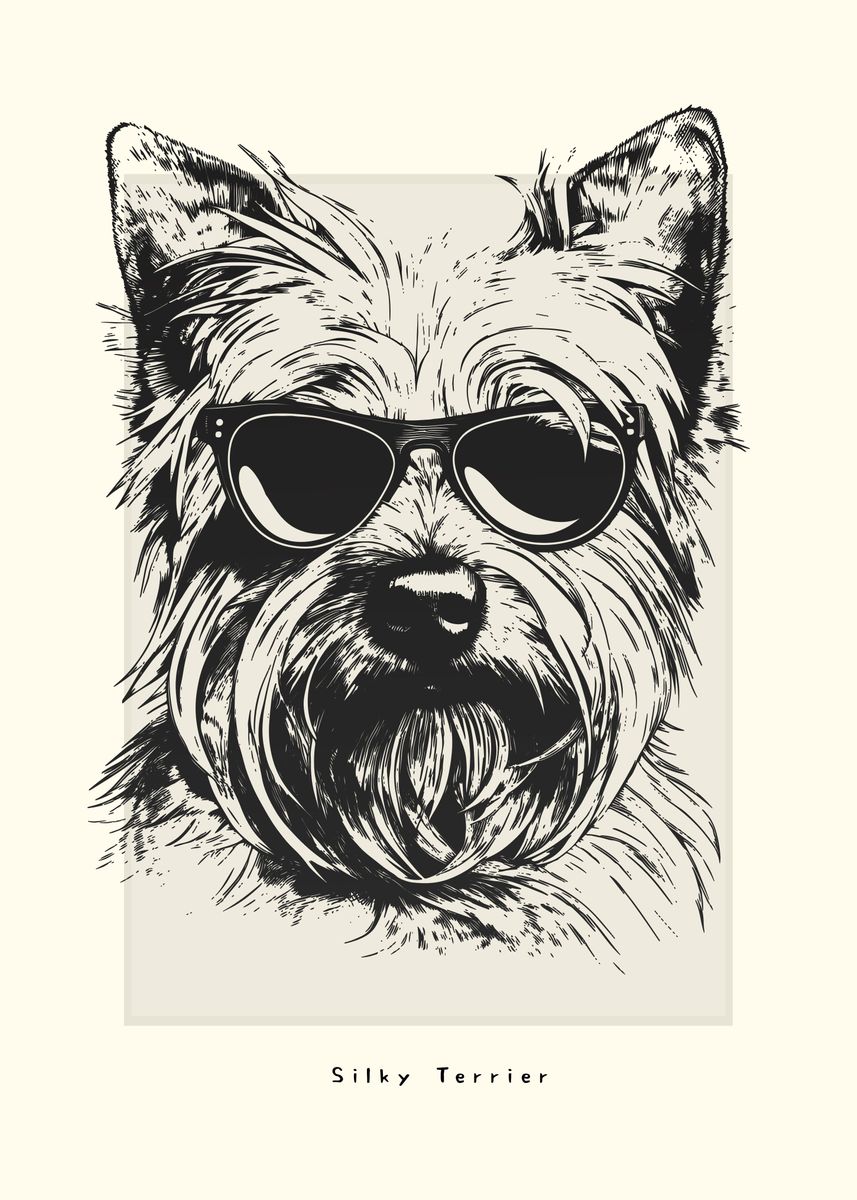 'Silky Terrier Sketch' Poster, picture, metal print, paint by Rafael ...
