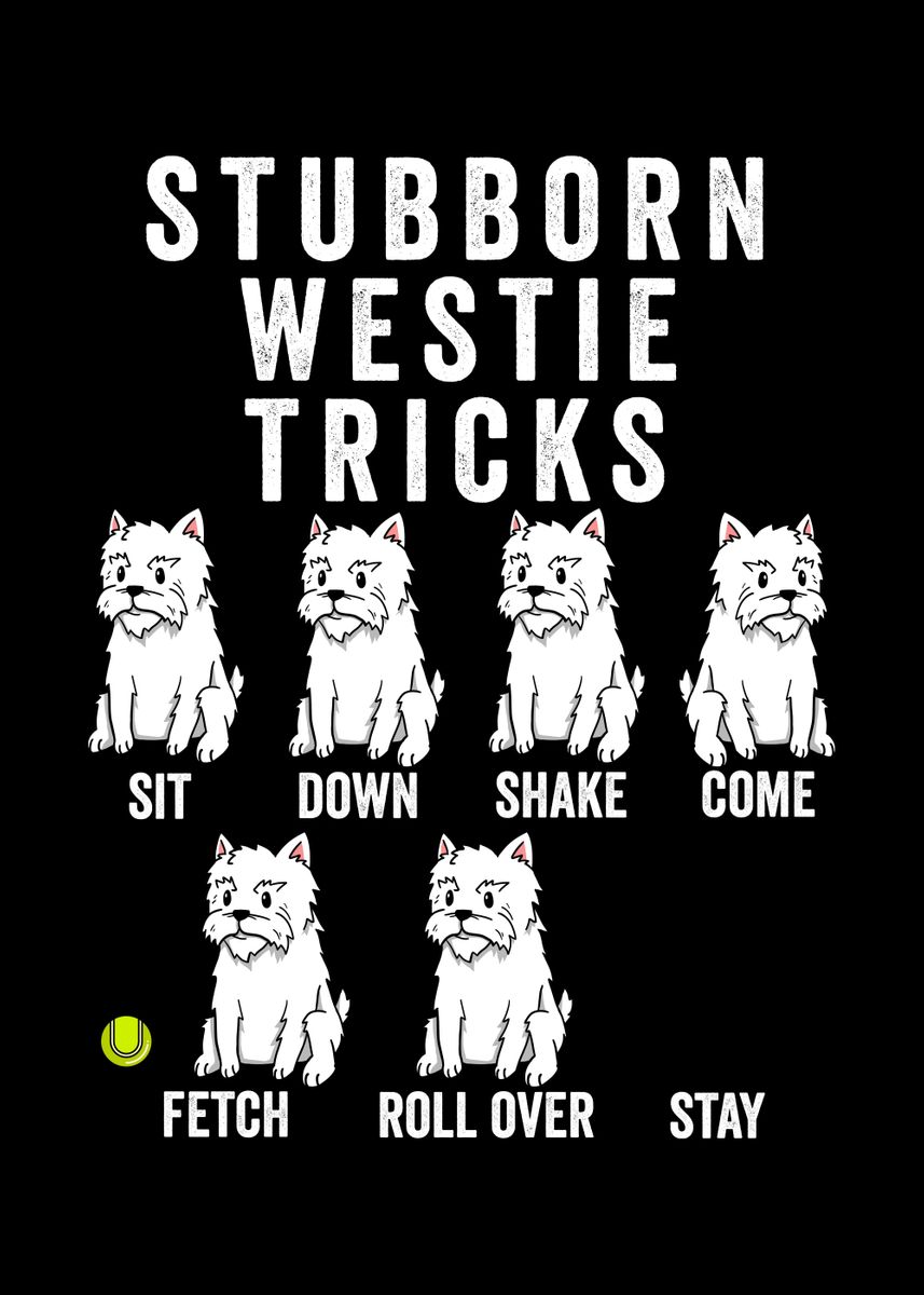'Stubborn Westie Tricks ' Poster, picture, metal print, paint by PetPrints | Displate