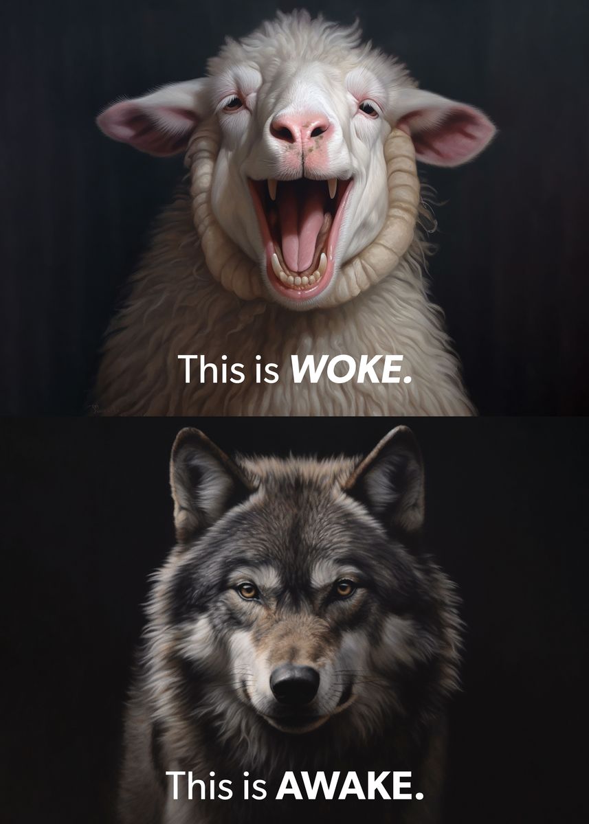 'Woke vs Awake Sheep Wolf' Poster, picture, metal print, paint by CHAN ...