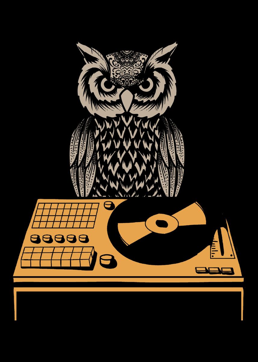 'DJ Owl Turntable' Poster, picture, metal print, paint by ...