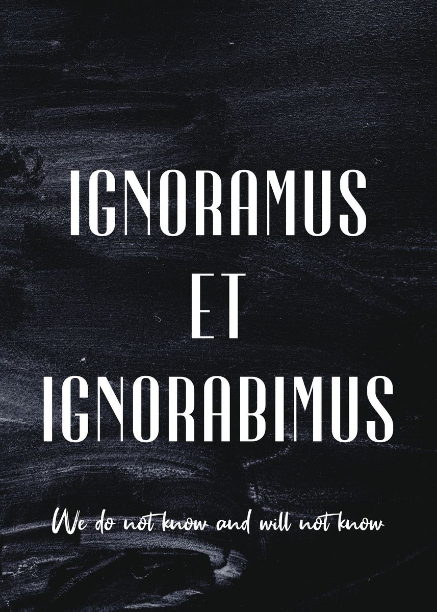 'Latin Quote We do Not Know' Poster by Jovana | Displate