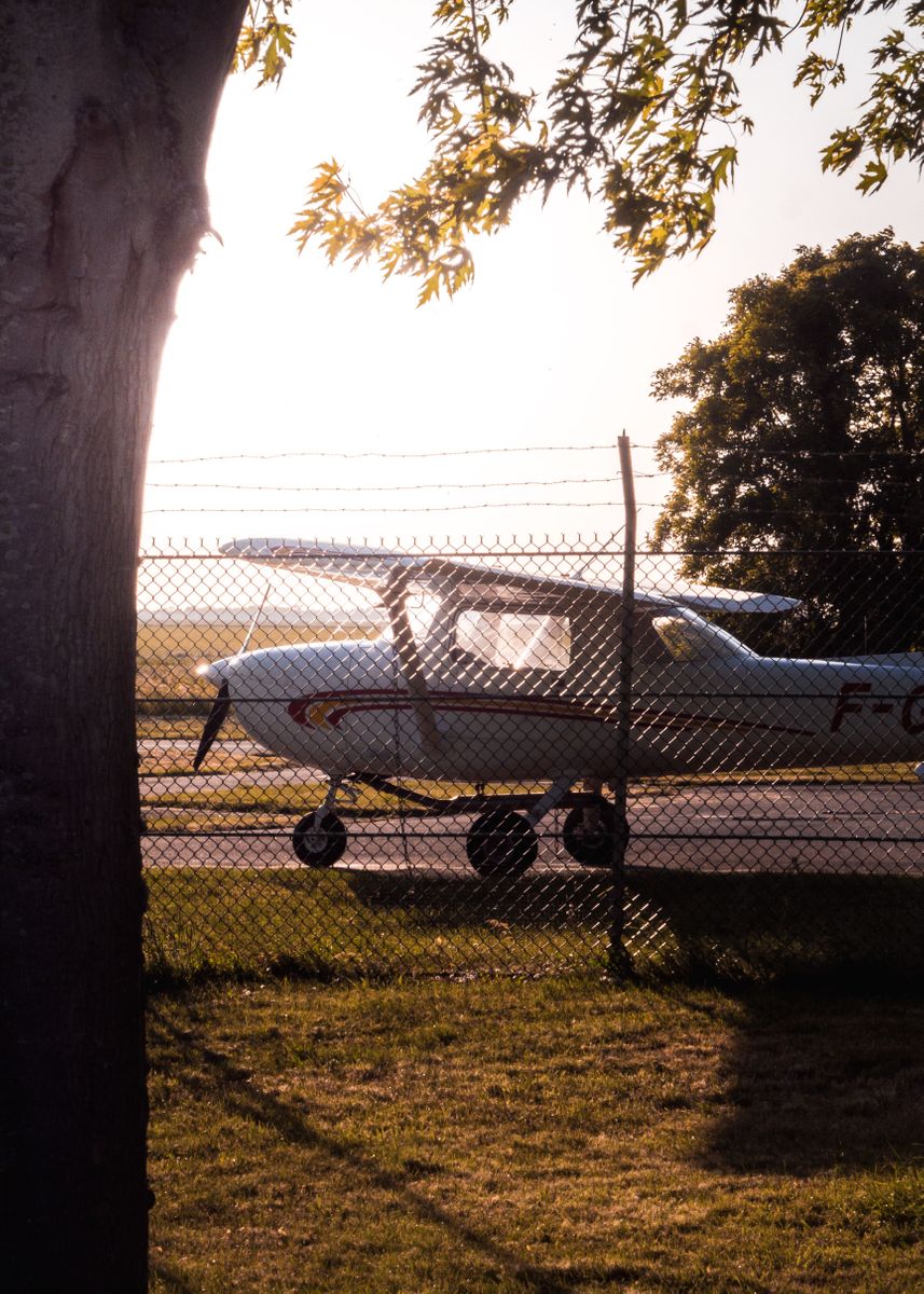 'Airplane at sunset' Poster, picture, metal print, paint by Thomas ...