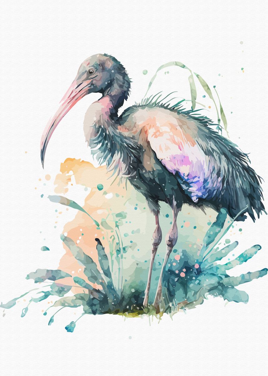 'ibis bird in watercolor' Poster, picture, metal print, paint by Cao ...