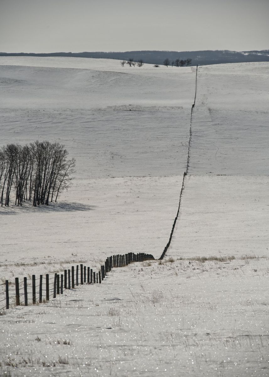 'snowy fence line' Poster, picture, metal print, paint by marvin barth ...