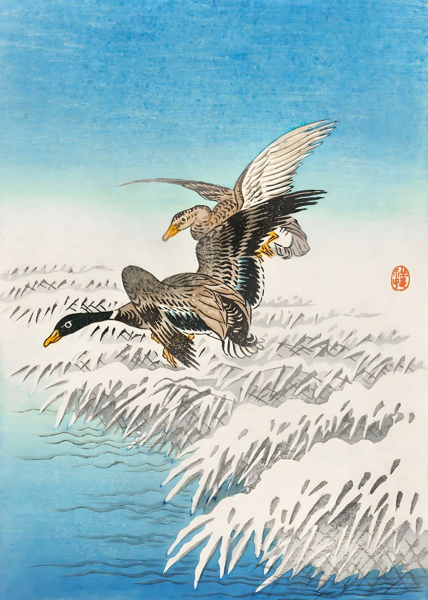 'Ducks fying in the sky' Poster, picture, metal print, paint by ...