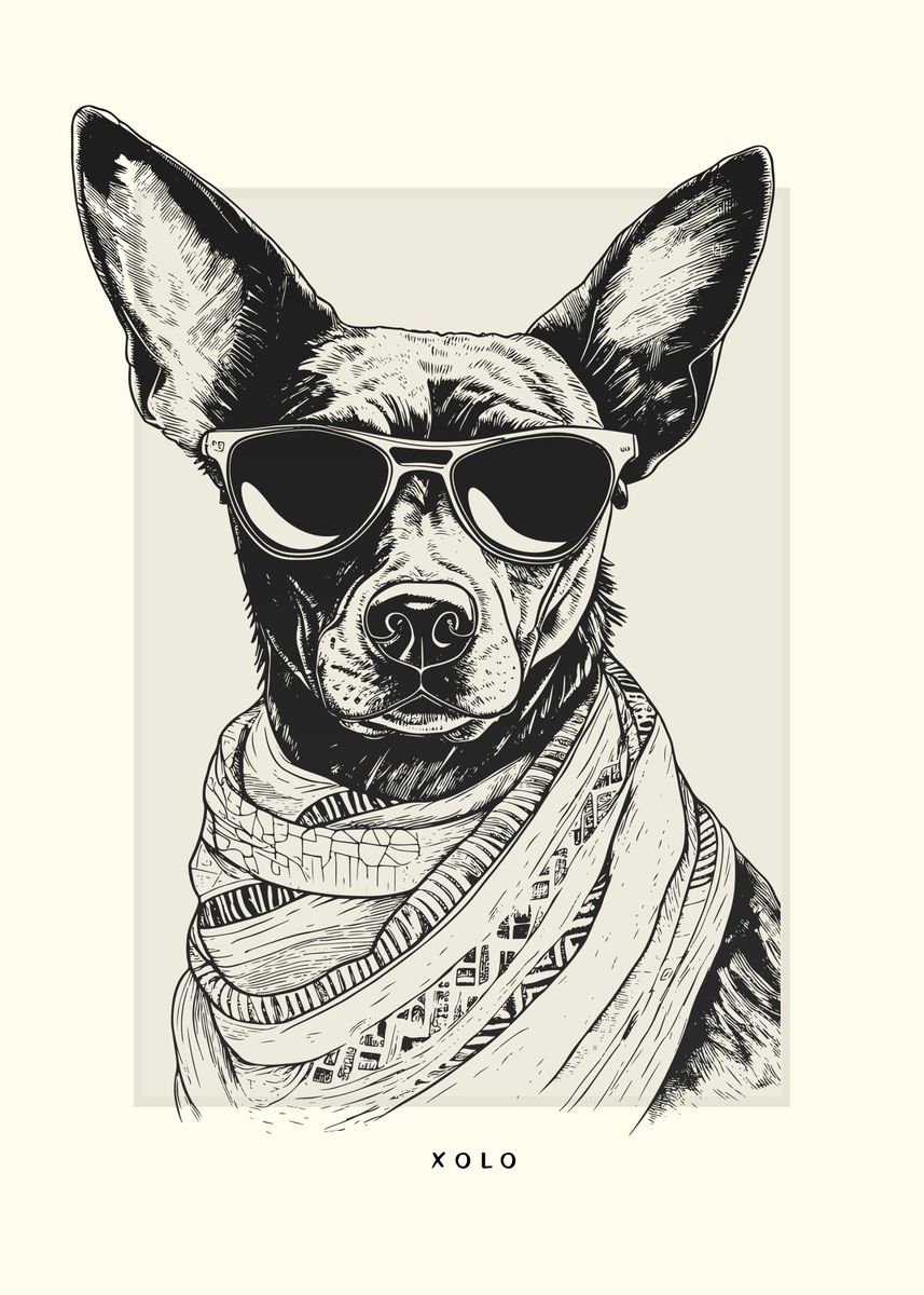 'Xoloitzcuintli Sketch' Poster, picture, metal print, paint by Rafael Dxgn | Displate