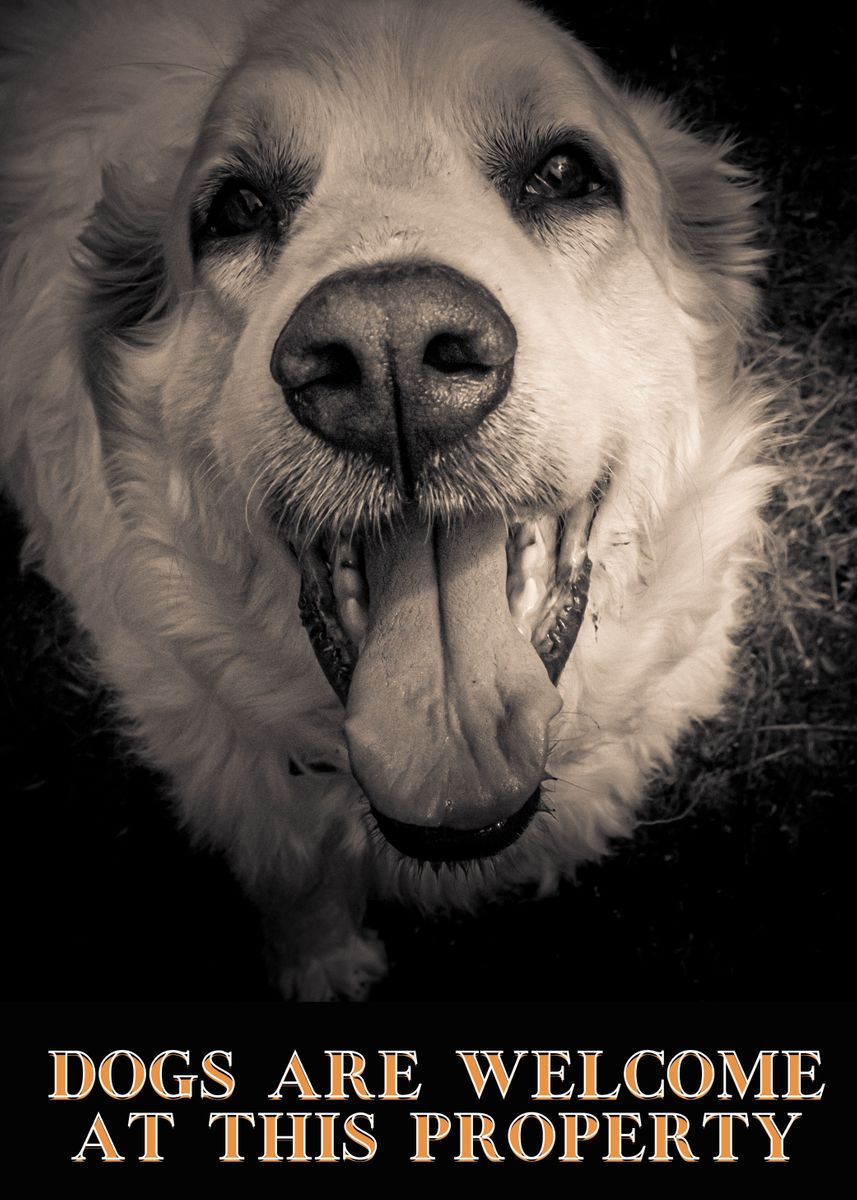 'Dogs are Welcome' Poster, picture, metal print, paint by Massimo Usai ...