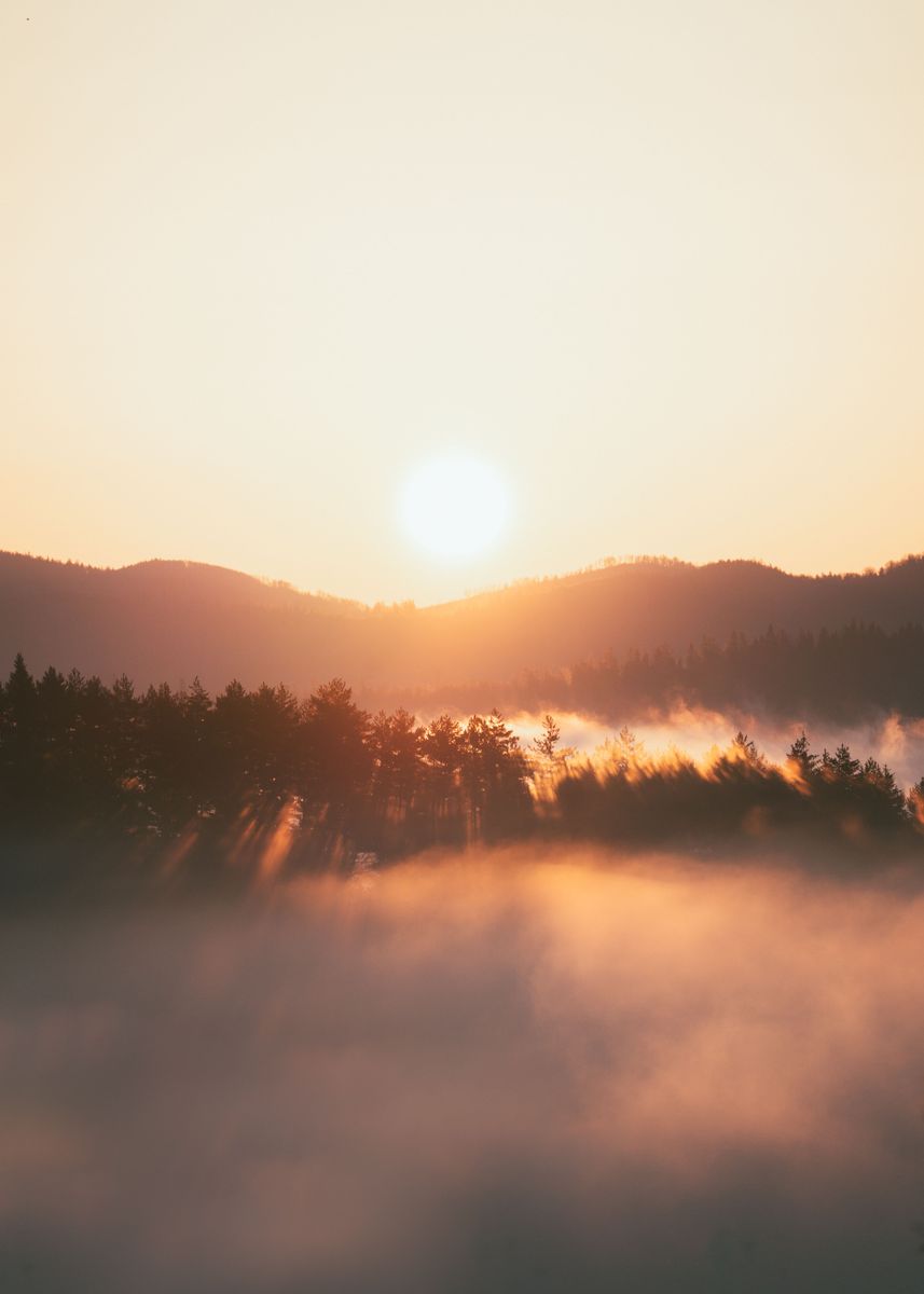 'Sunny morning' Poster by 19thpic | Displate