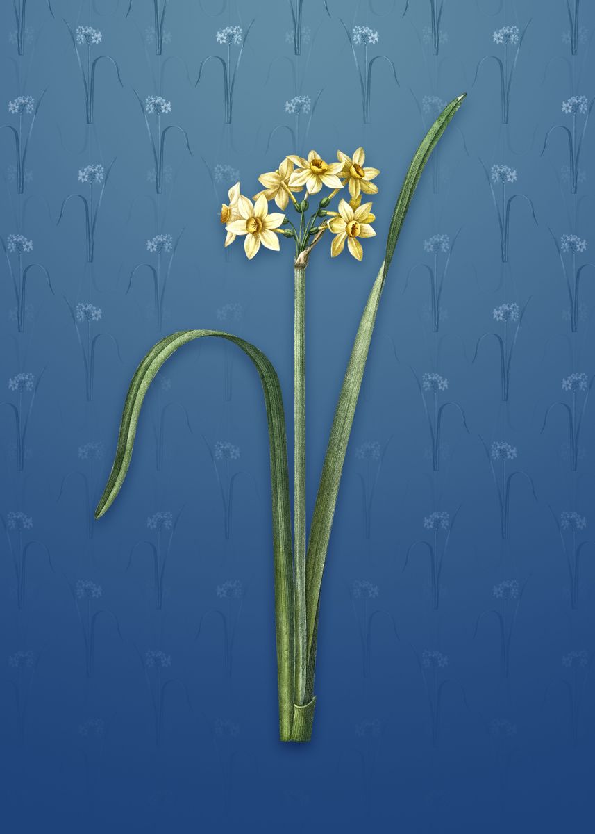 'Cowslip Cupped Daffodil' Poster, picture, metal print, paint by Holy ...