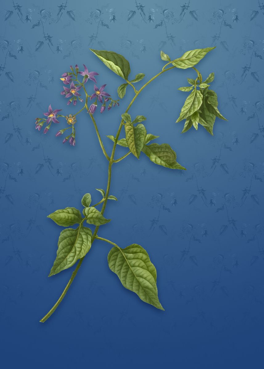 'Vintage Bittersweet' Poster by Holy Rock Design | Displate