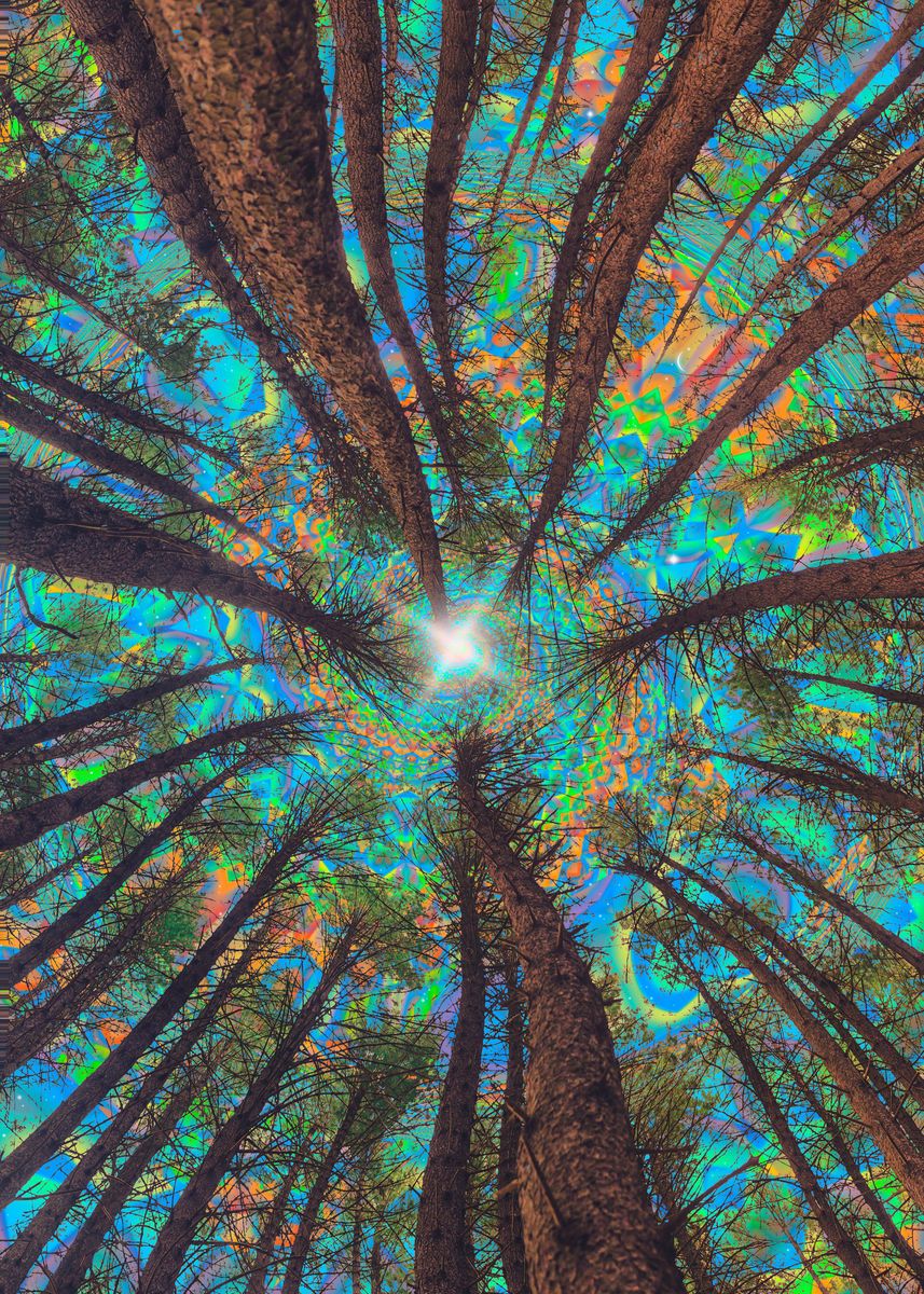 'Projections' Poster, picture, metal print, paint by Cajuca | Displate