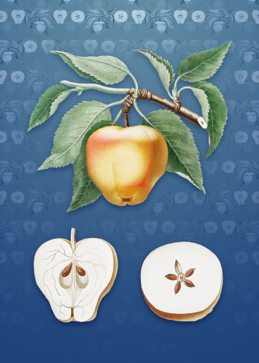 'Vintage Carla Apple' Poster, picture, metal print, paint by Holy Rock ...