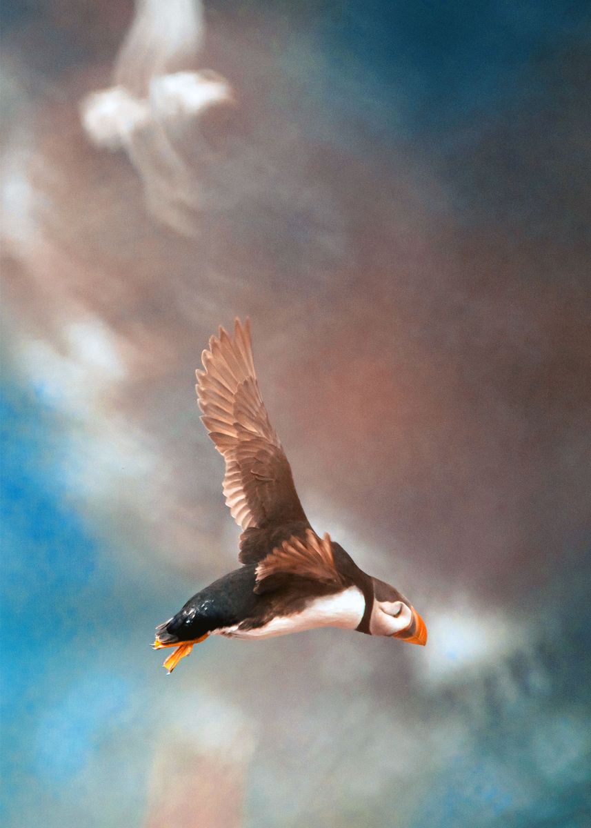'Puffin Flies With Ghosts' Poster, picture, metal print, paint by ...