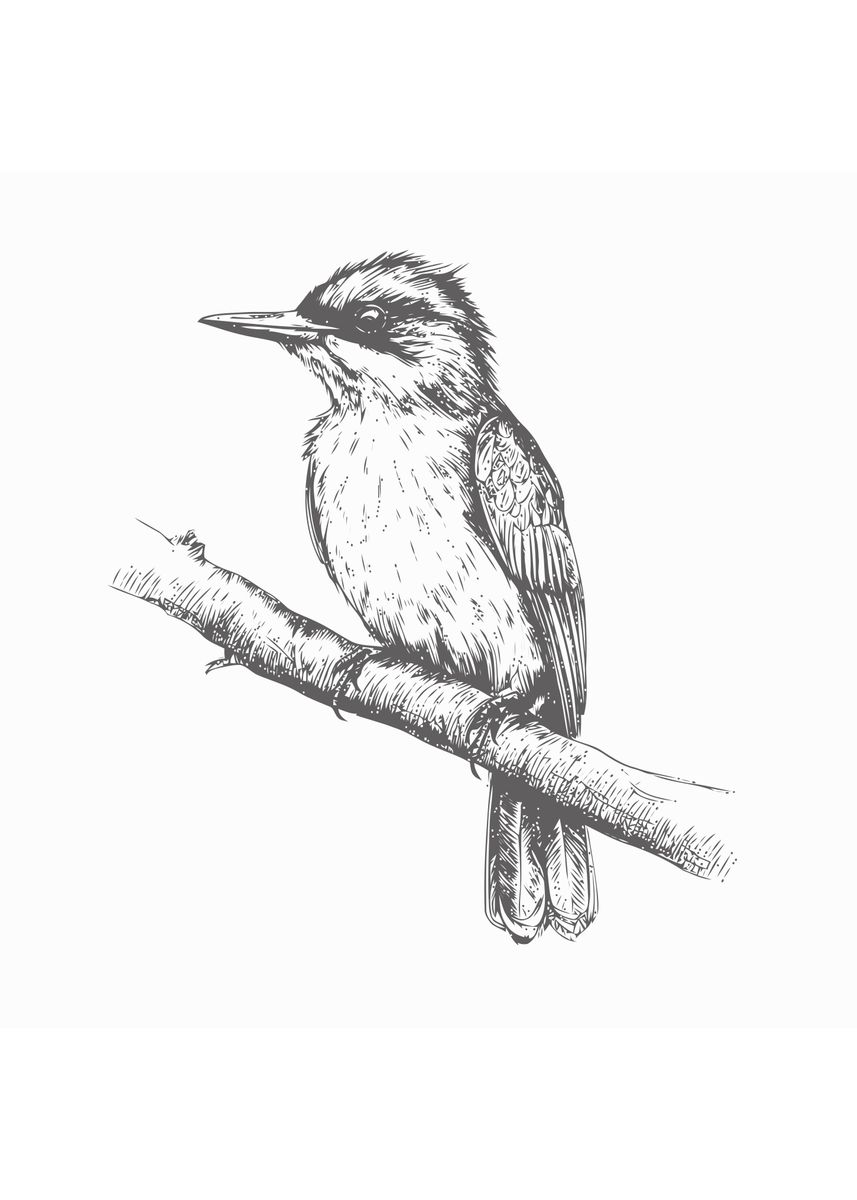 'Sketch of bird hand draw' Poster, picture, metal print, paint by Lloyd ...