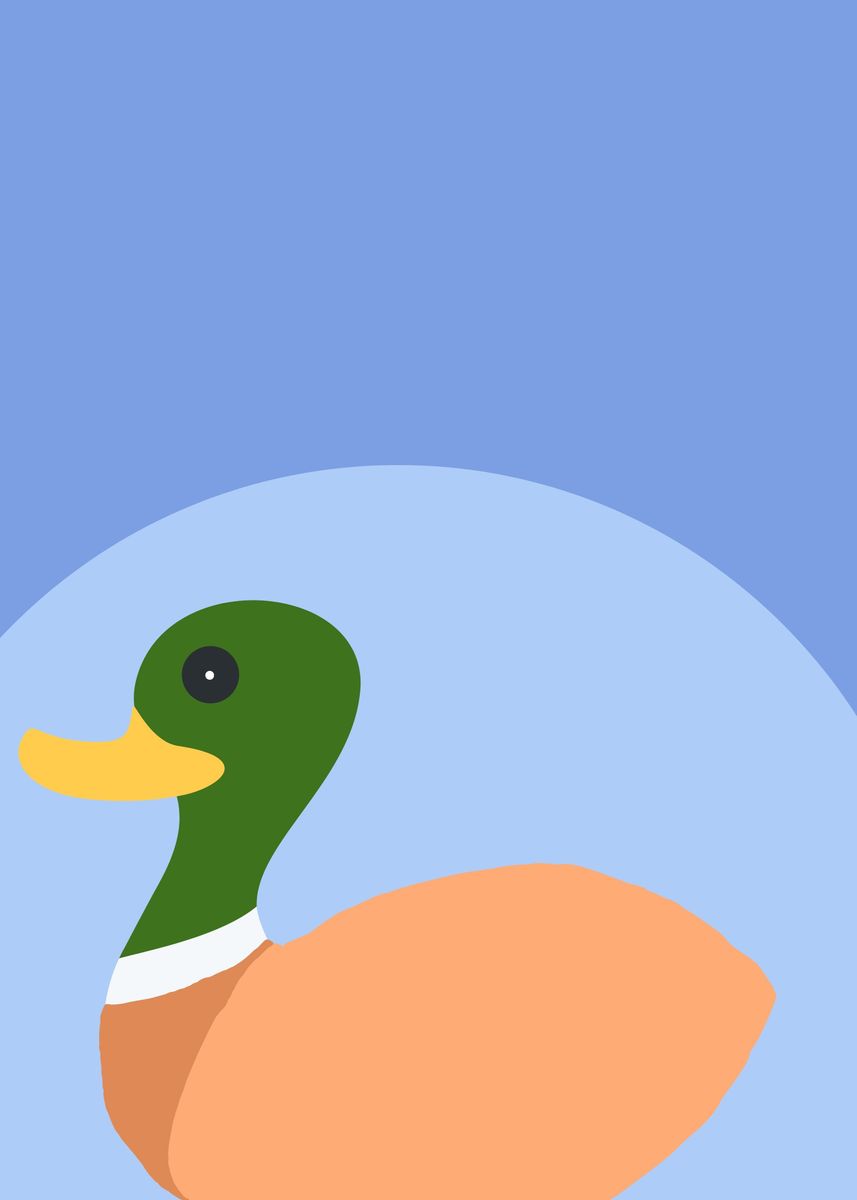 'DUCK' Poster, picture, metal print, paint by Koni | Displate