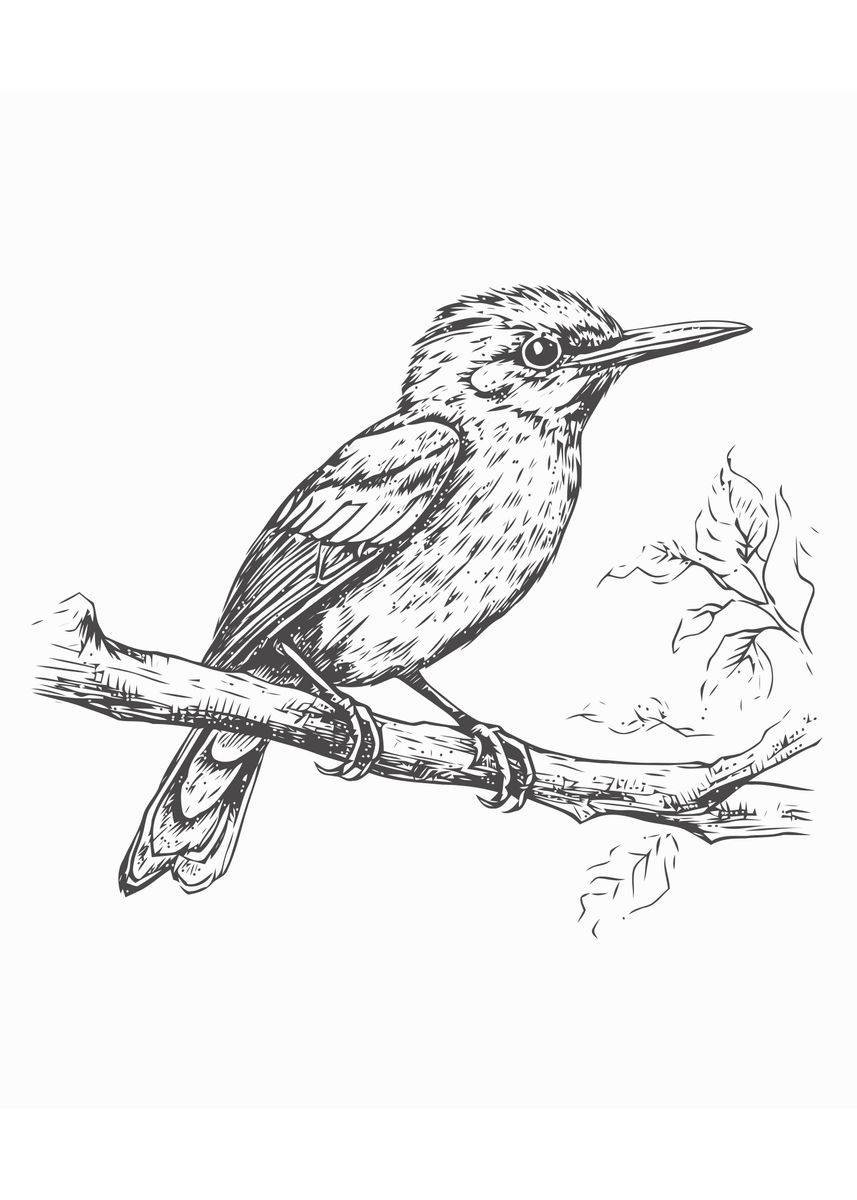 'Sketch of bird hand draw' Poster, picture, metal print, paint by Lloyd ...