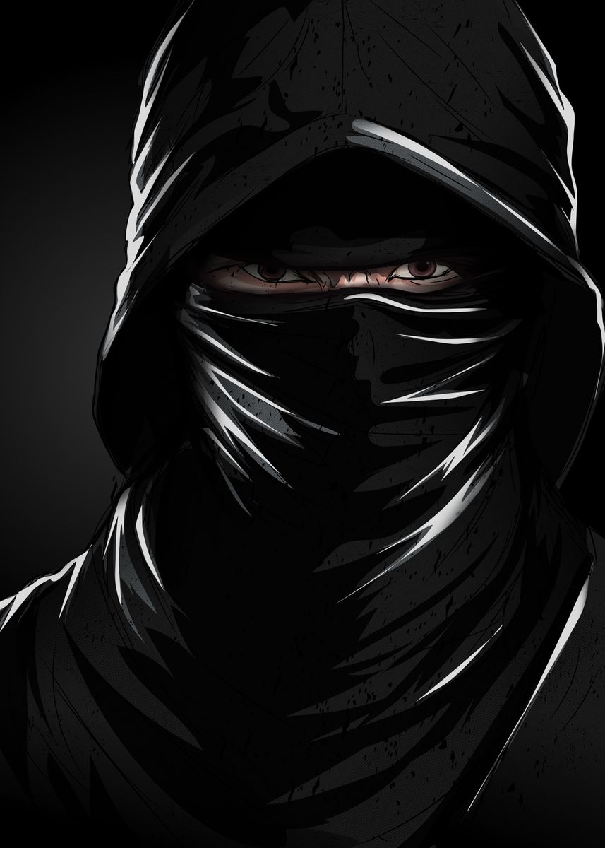 'Ninja Warrior' Poster, picture, metal print, paint by Shamoon Ibrahim ...