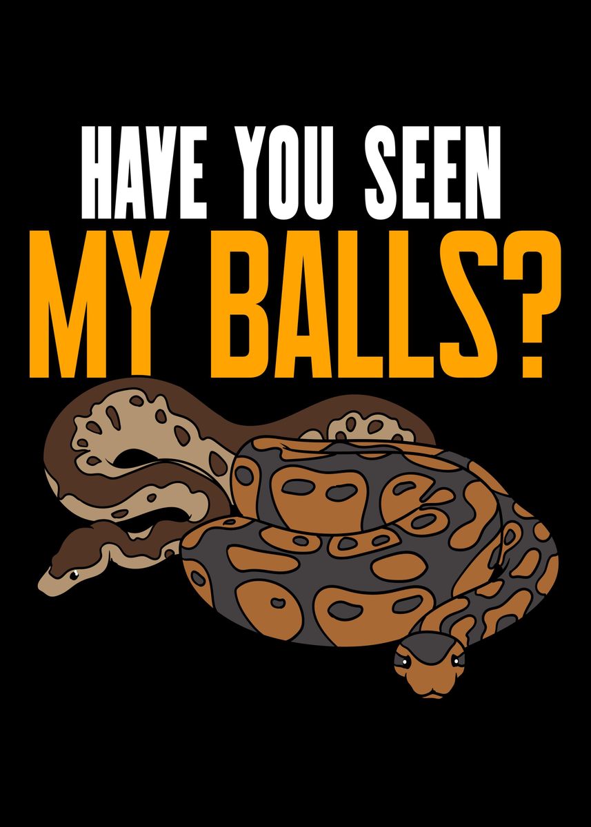 'Ball Python Snake' Poster by AestheticAlex | Displate