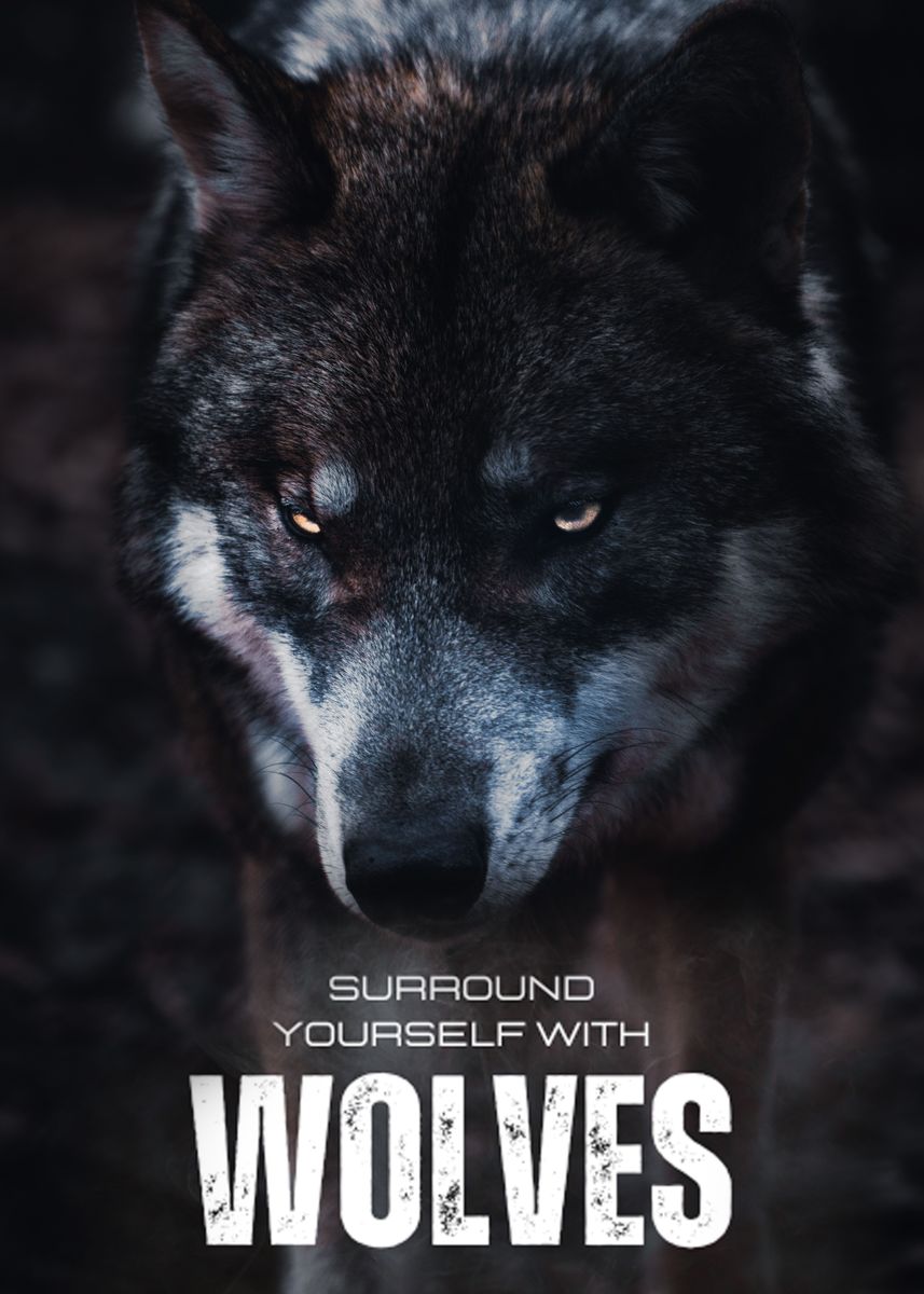 'Surround yourself wolves' Poster, picture, metal print, paint by Vardi ...