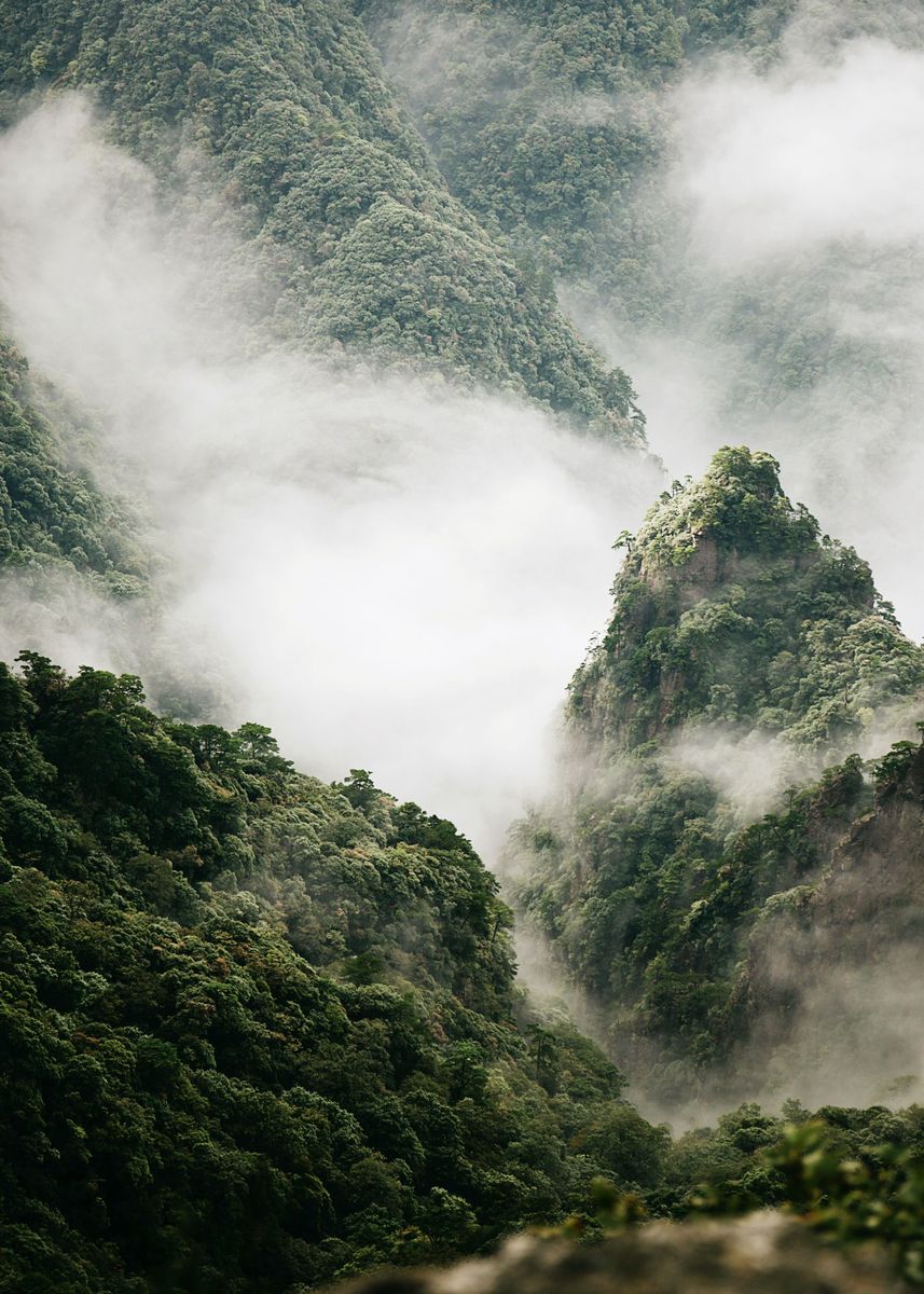 'MISTY HILL' Poster, picture, metal print, paint by LuckStory | Displate