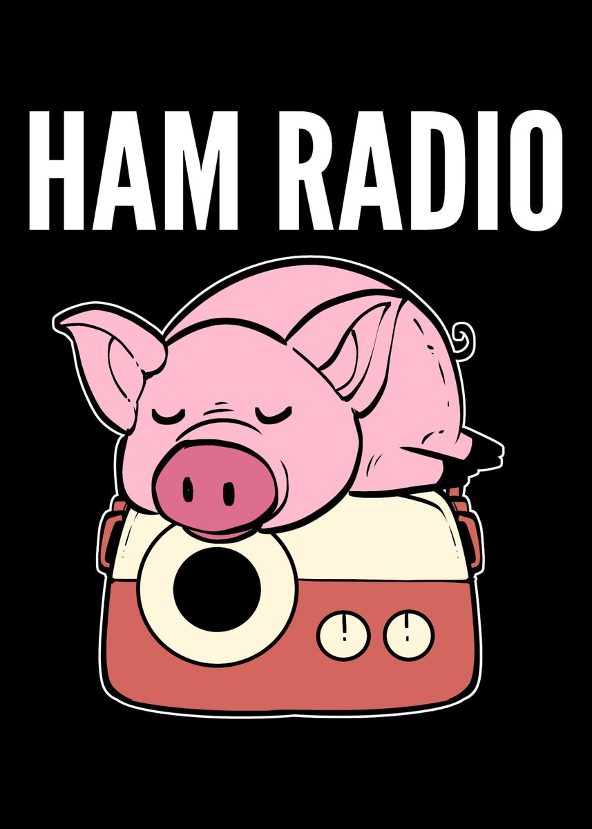 'Ham Radio Newscaster Gift' Poster, picture, metal print, paint by ...