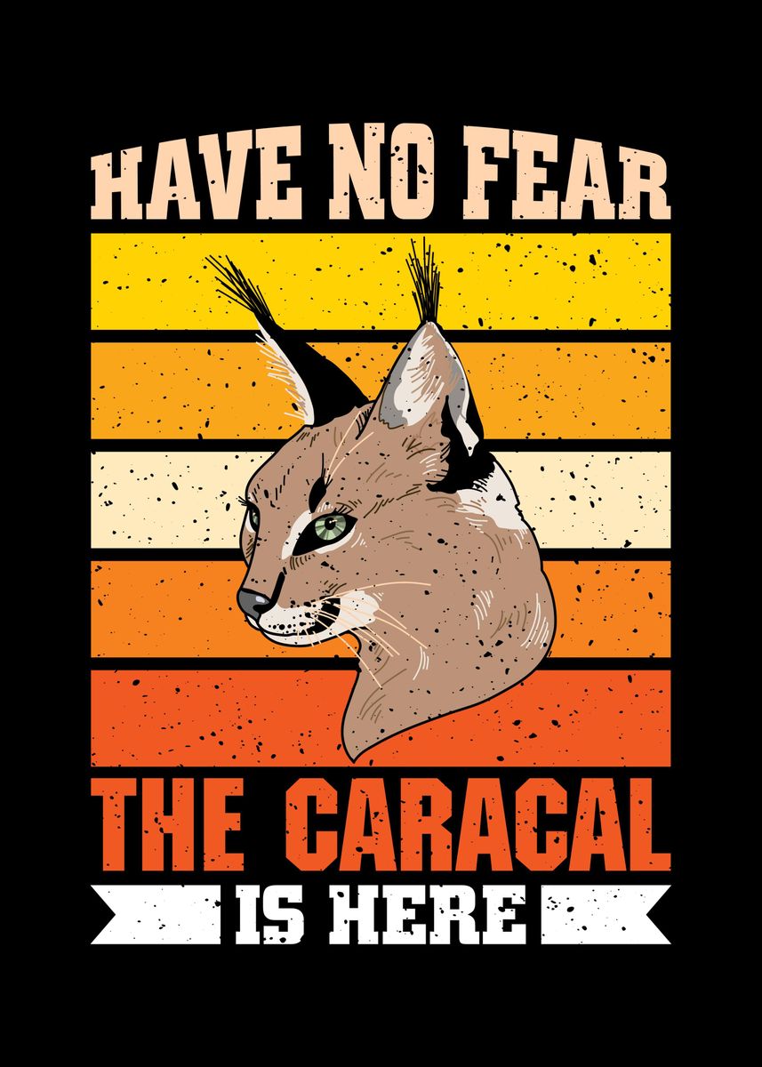 'Caracal' Poster, picture, metal print, paint by Sebastian Wünsche ...