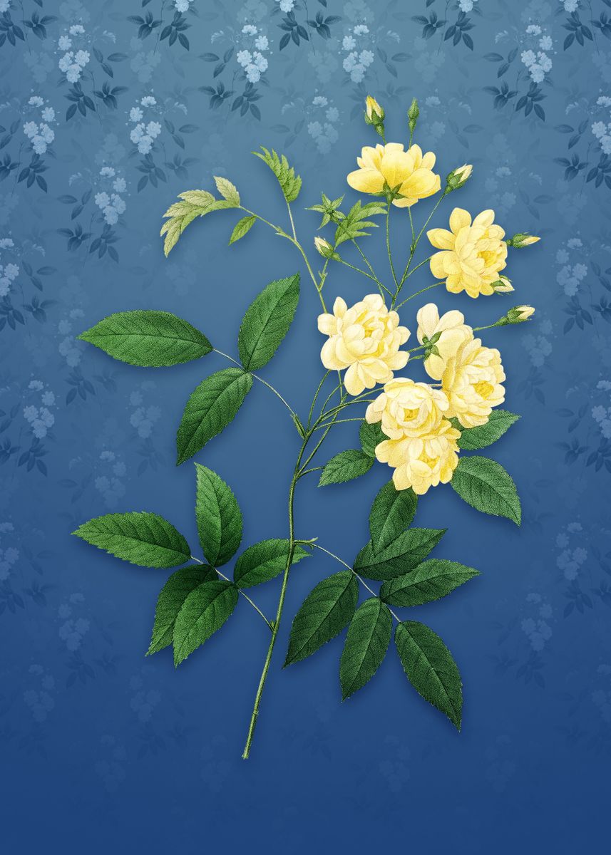 'Vintage Lady Banks Rose' Poster by Holy Rock Design | Displate