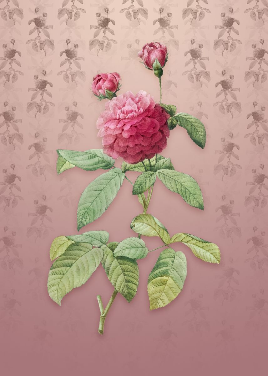 'Agatha Rose in Bloom' Poster, picture, metal print, paint by Holy Rock ...