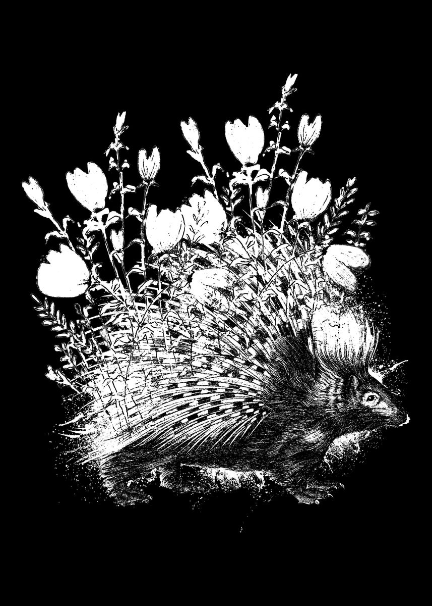 'Porcupine Flowers' Poster, picture, metal print, paint by BobbyBubble ...