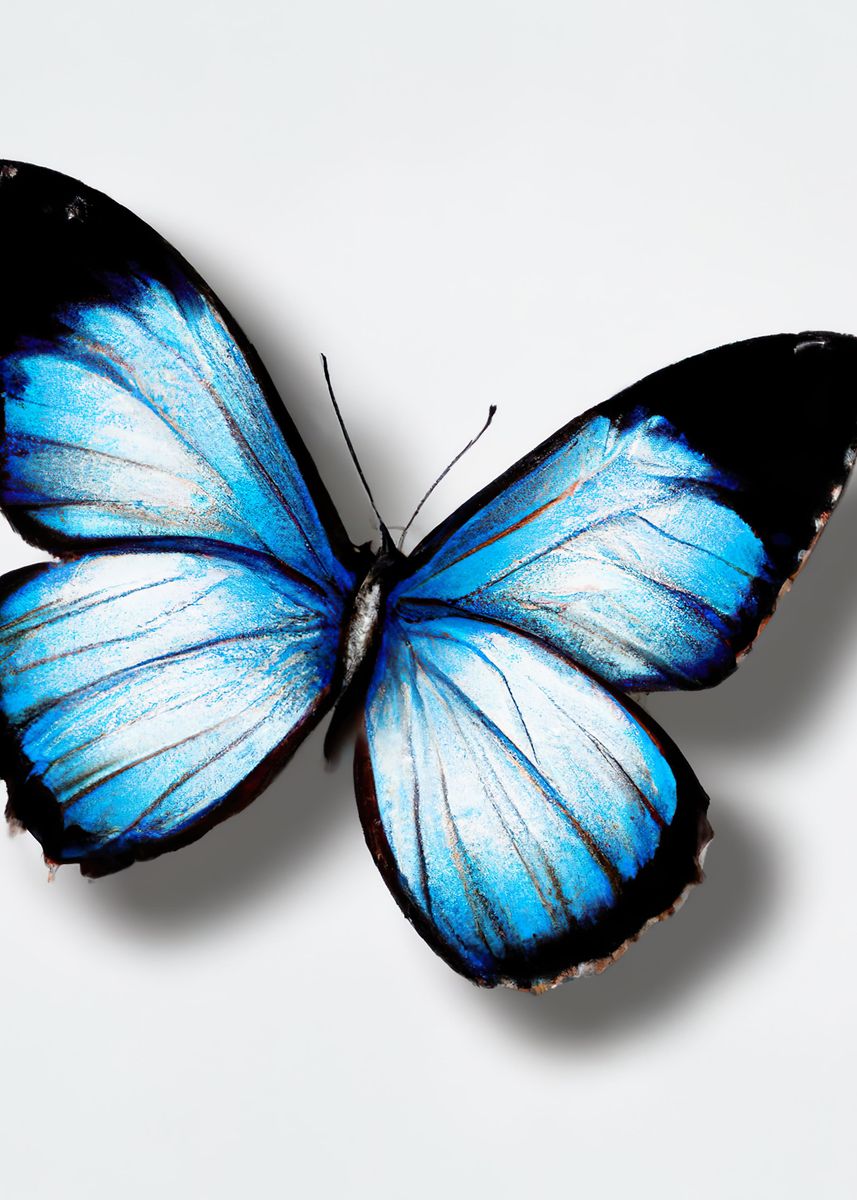 'Blue Butterfly' Poster, picture, metal print, paint by maxdesign ...