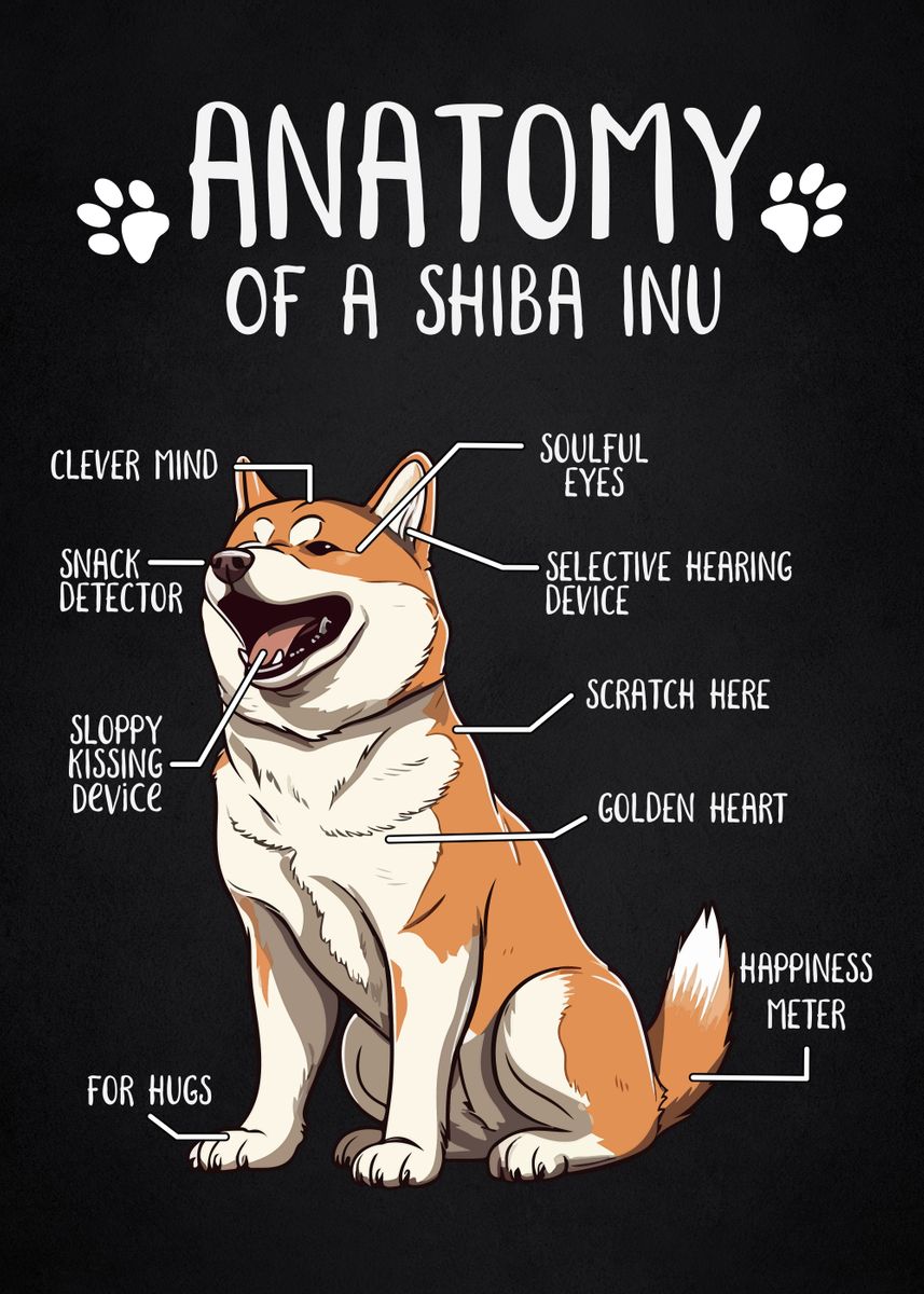 'Anatomy of shiba inu' Poster, picture, metal print, paint by ...