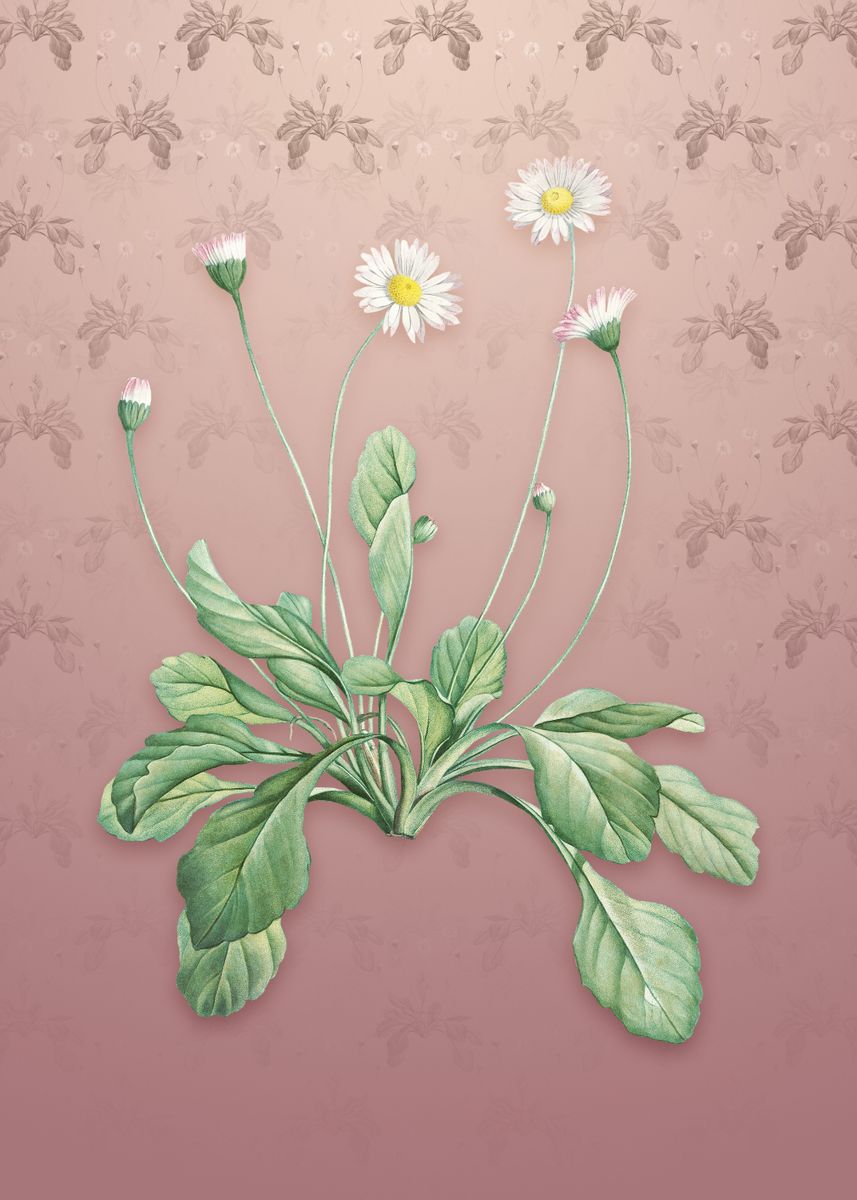 'Vintage Daisy Flowers' Poster by Holy Rock Design | Displate