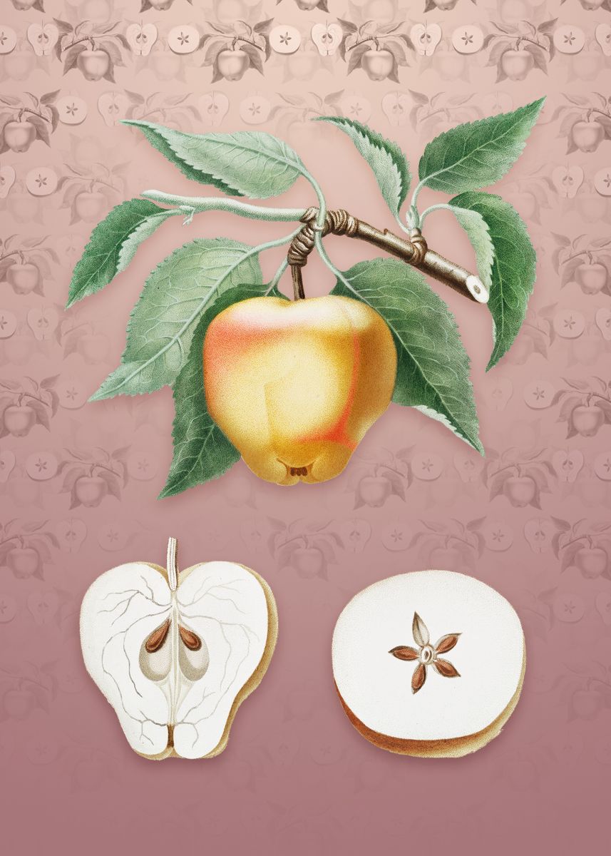 'Vintage Carla Apple' Poster, picture, metal print, paint by Holy Rock ...