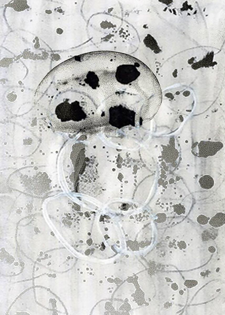 'Fine beauty' Poster, picture, metal print, paint by Otilia Adam | Displate