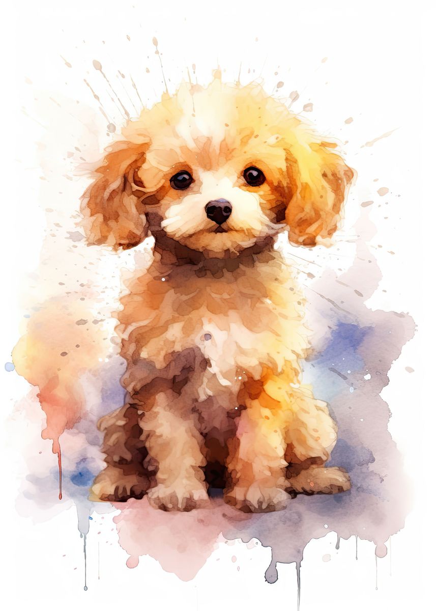 'watercolor poodle' Poster, picture, metal print, paint by Mappingz ...