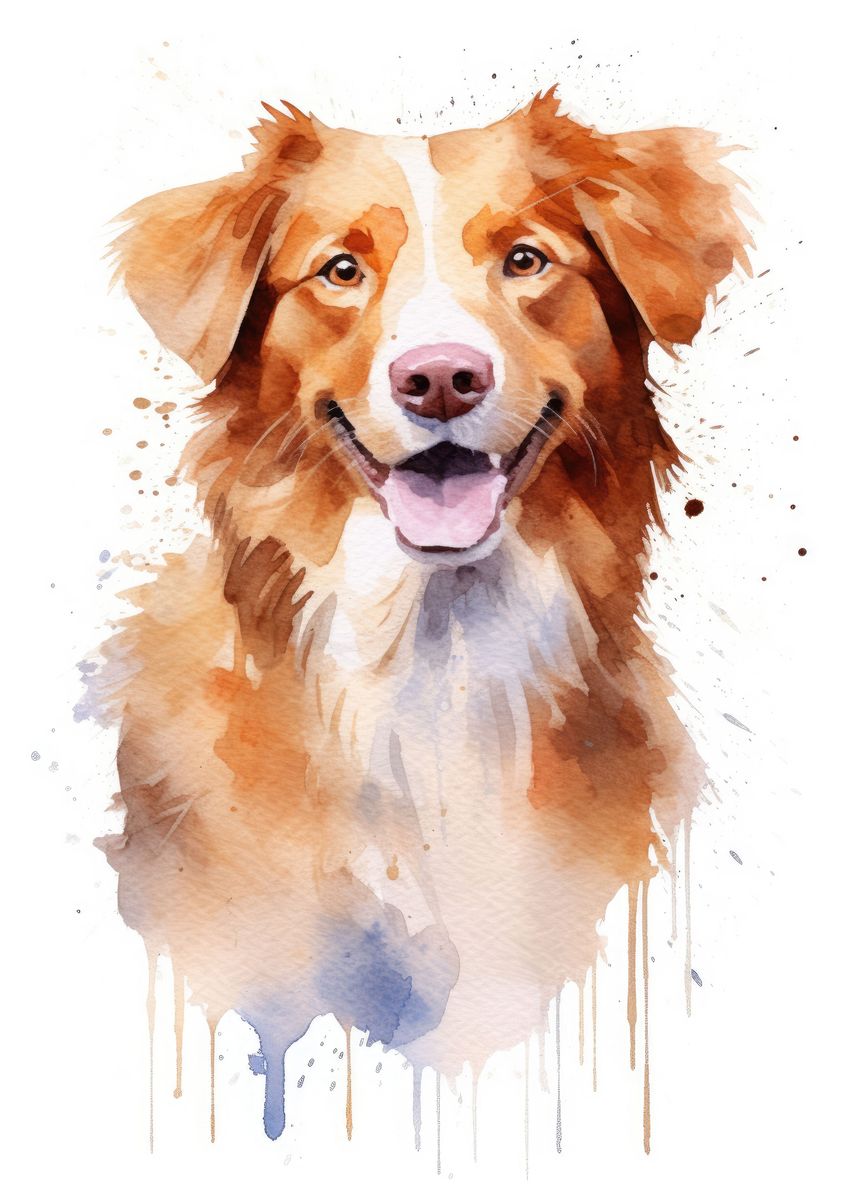 'nova scotia duck retriever' Poster, picture, metal print, paint by Mappingz | Displate