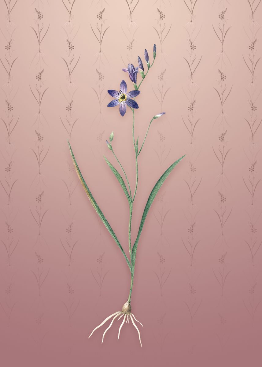 'Vintage Ixia Secunda' Poster, picture, metal print, paint by Holy Rock ...