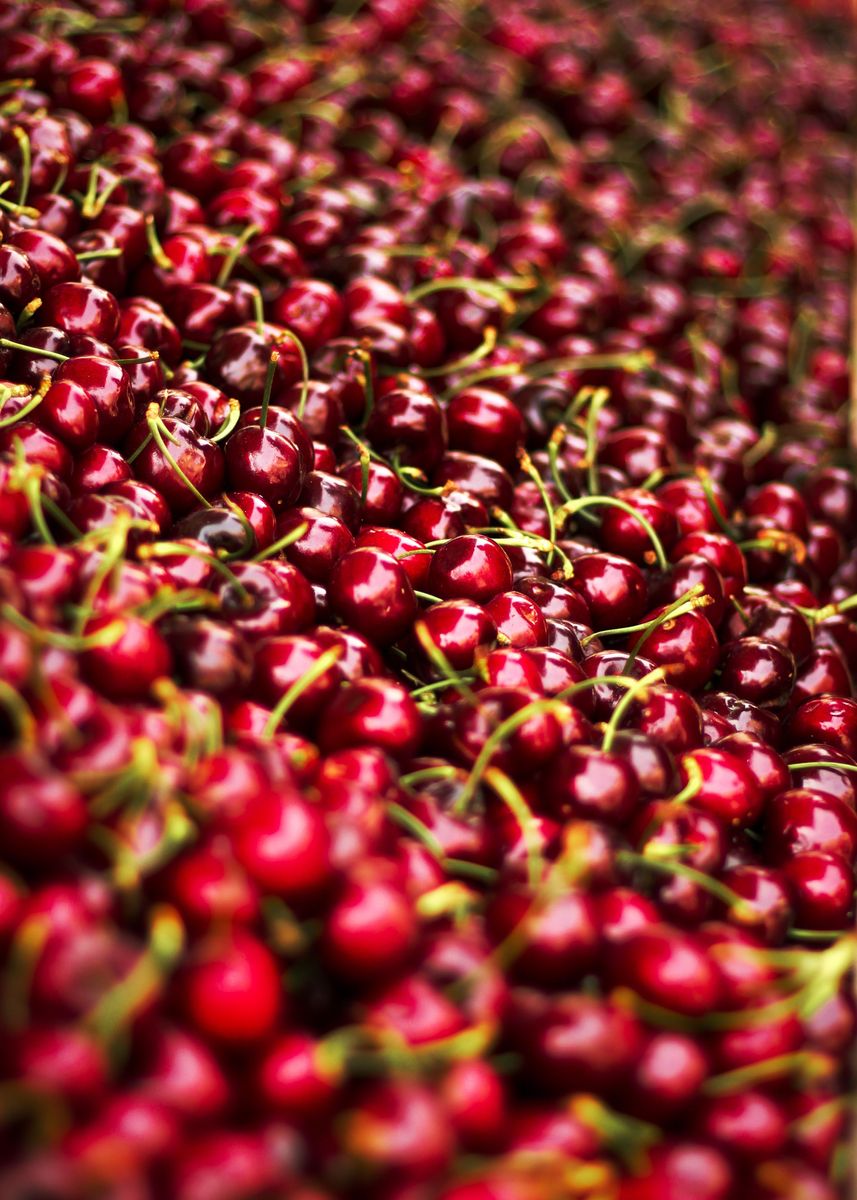 'Cherries at the Market' Poster by Laura Thompson | Displate