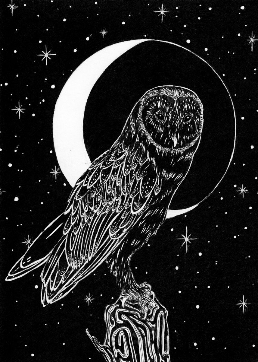'An Owl Made of Midnight' Poster, picture, metal print, paint by Ella ...
